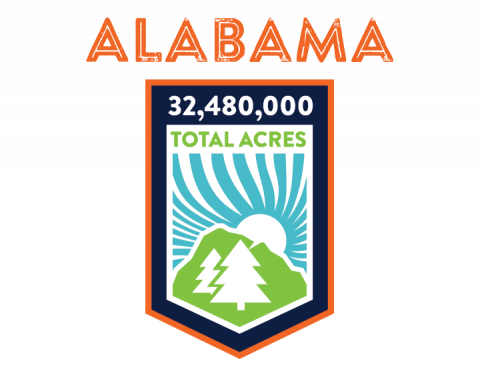 Alabama Timberland / Auburn University College of Agriculture