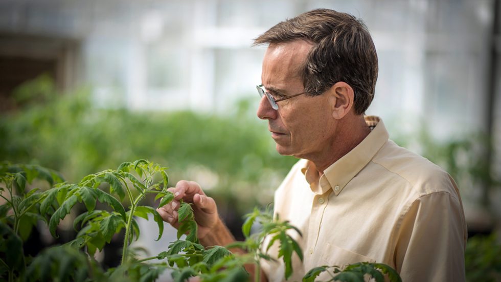 Kloepper named Academy of Inventors Fellow / Auburn University College ...