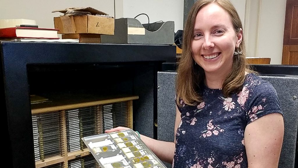 Ph.D. graduate’s classification study is first of aphid-like insect in ...