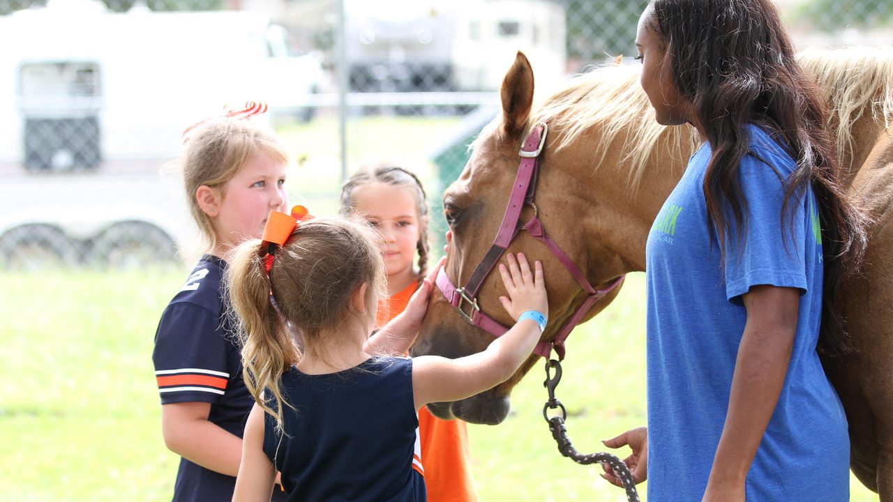 Animal Sciences Department / Auburn University College of Agriculture