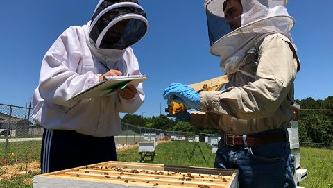Bee Lab / Auburn University College of Agriculture