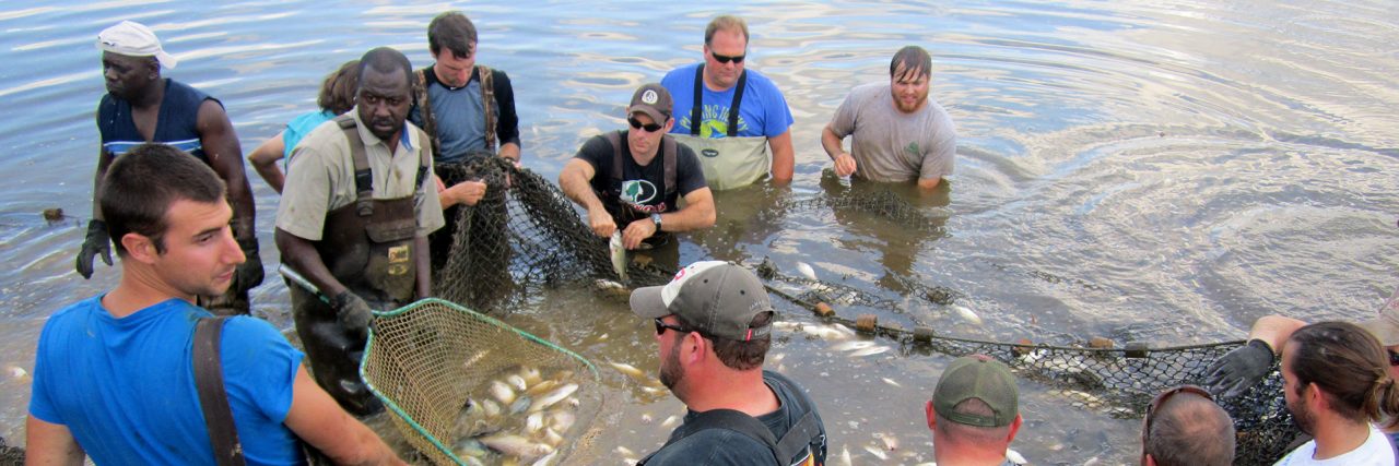 Matt Catalano / Auburn University College of Agriculture
