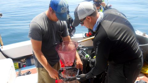 Marine Resources Management / Auburn University College of Agriculture