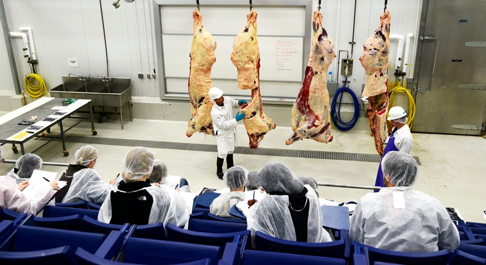 Meats Lab Facilities / Auburn University College of Agriculture