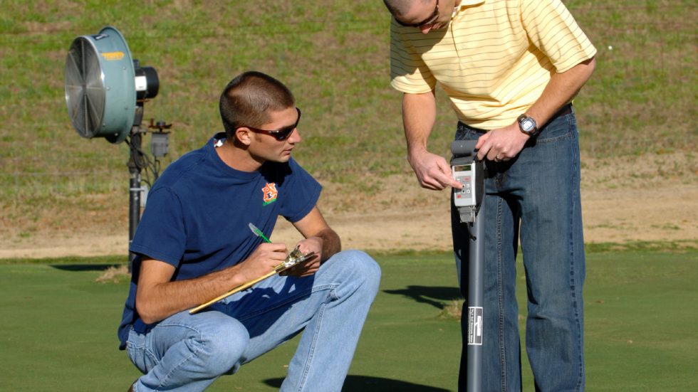 Turfgrass / Auburn University College of Agriculture