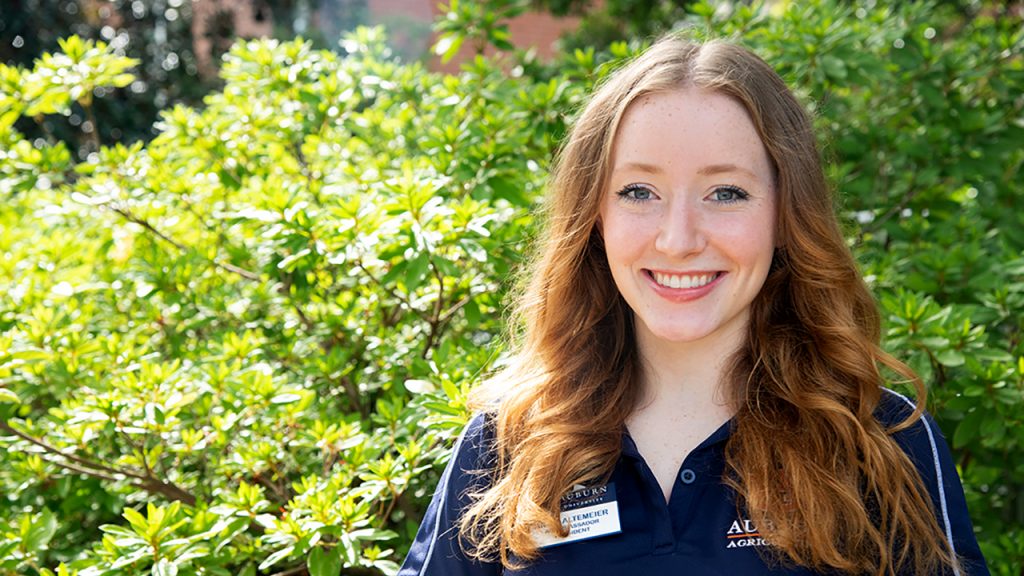 On the Horizon: What’s Next for New Alumni / Auburn University College ...