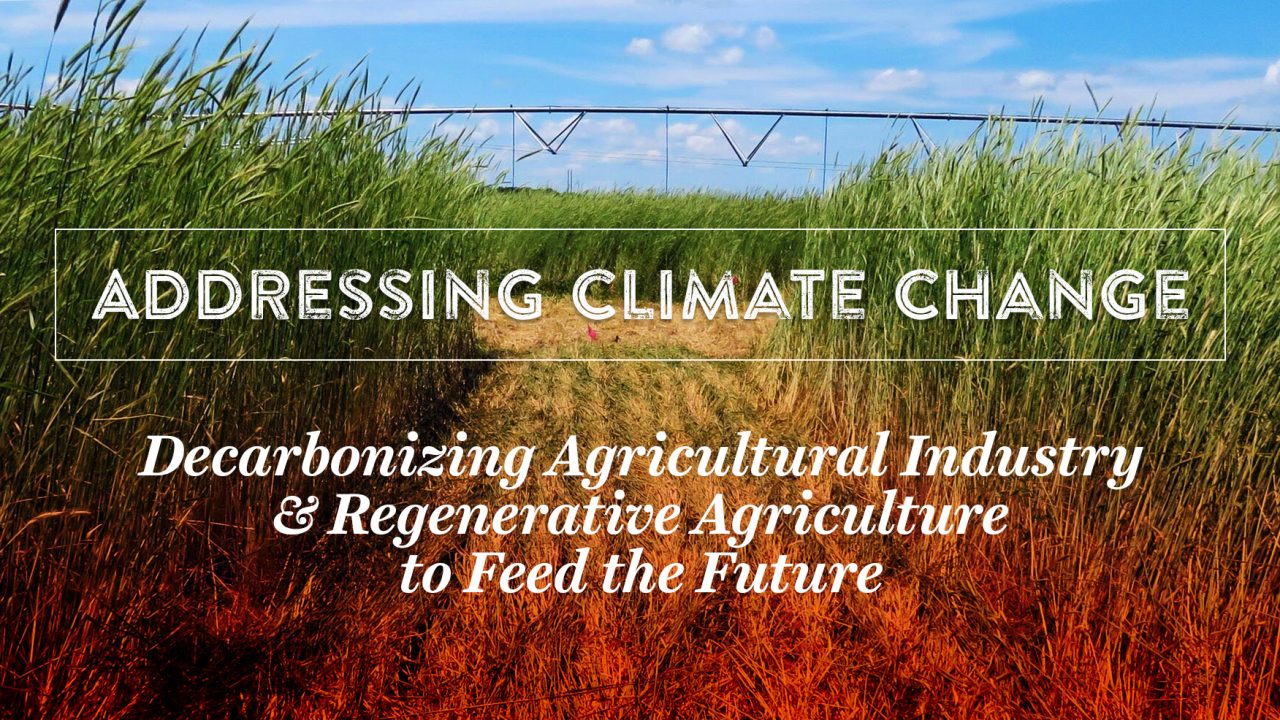 Addressing Climate Change: Decarbonizing Agricultural Industry ...