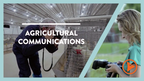 Agricultural Communications / Auburn University College of Agriculture