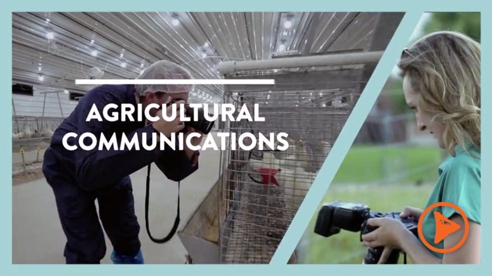 Agricultural Communications / Auburn University College of Agriculture