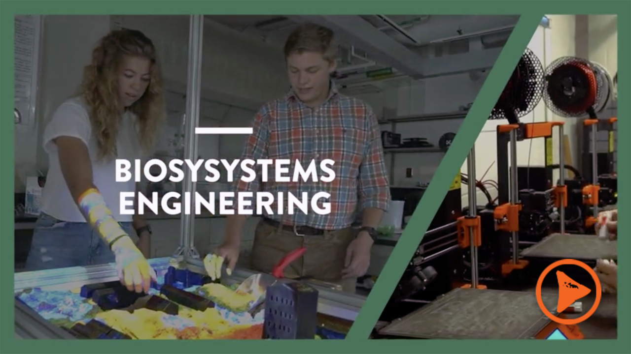 Biosystems Engineering / Auburn University College of Agriculture