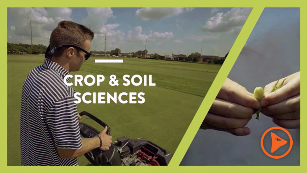 Crop & Soil Science / Auburn University College of Agriculture