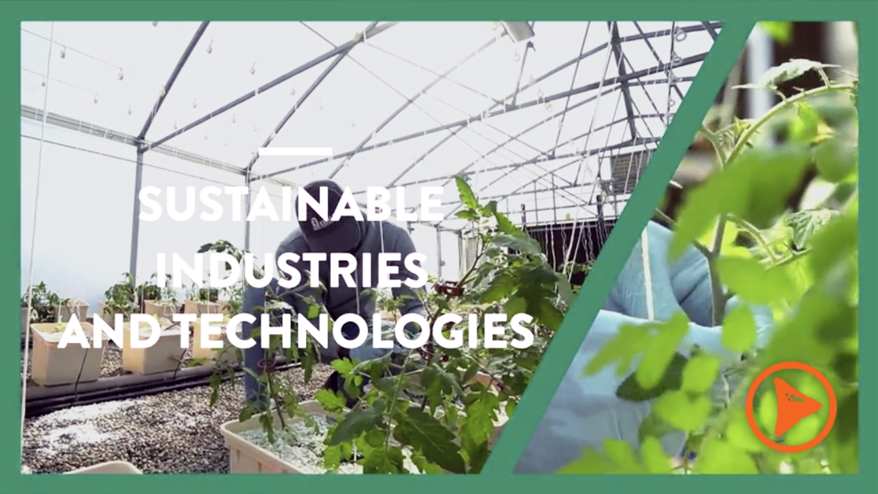 Forest Engineering / Auburn University College of Agriculture