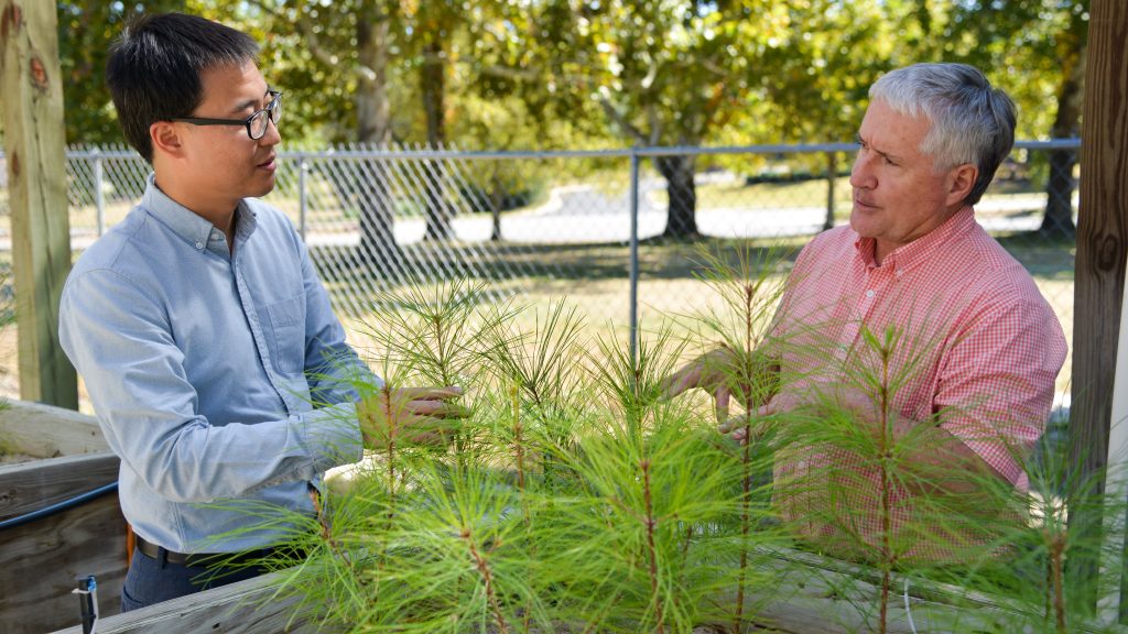 Auburn-developed robotics promising for U.S. forest tree industry ...