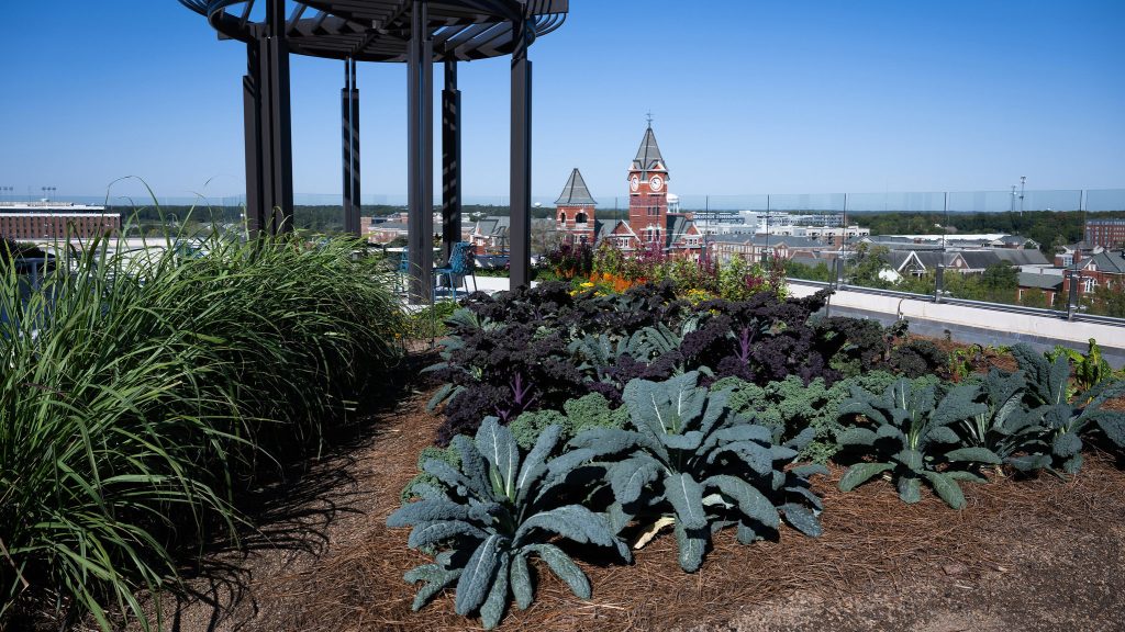 Educational opportunities abound on rooftop garden / Auburn University ...