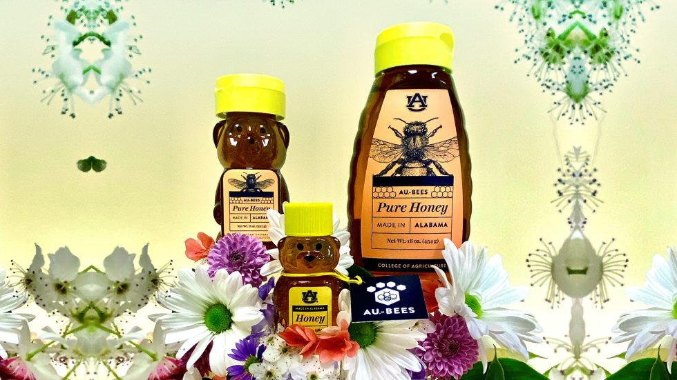 AU Bee Lab Honey & Sales / Auburn University College of Agriculture