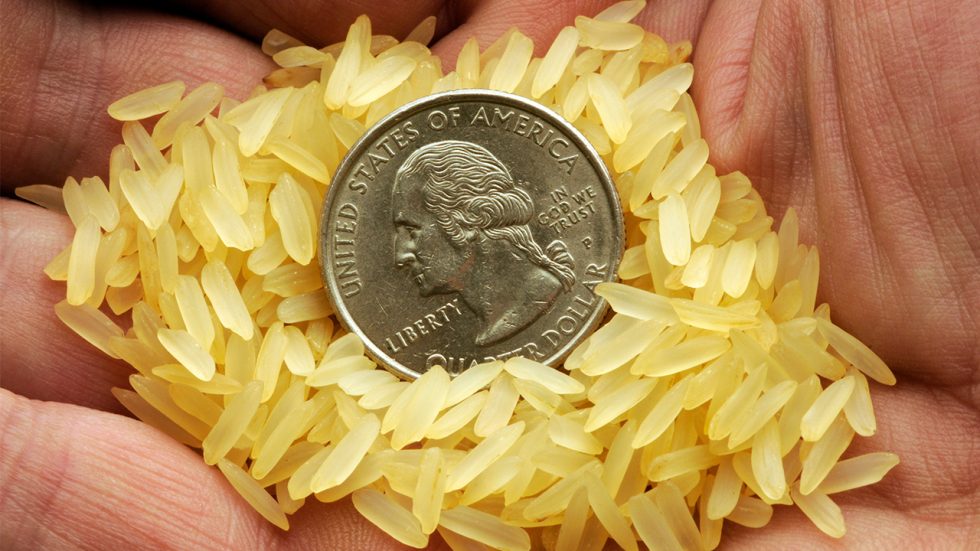 Handbook Edited by Auburn Faculty Shows Why Microfinance Matters ...