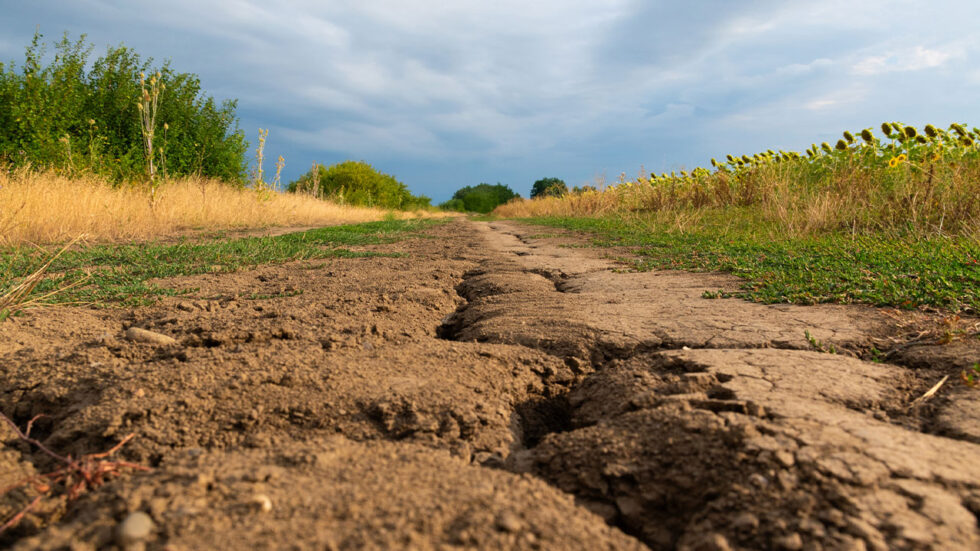 Alabama Drought Reach strengthens statewide monitoring / Auburn ...